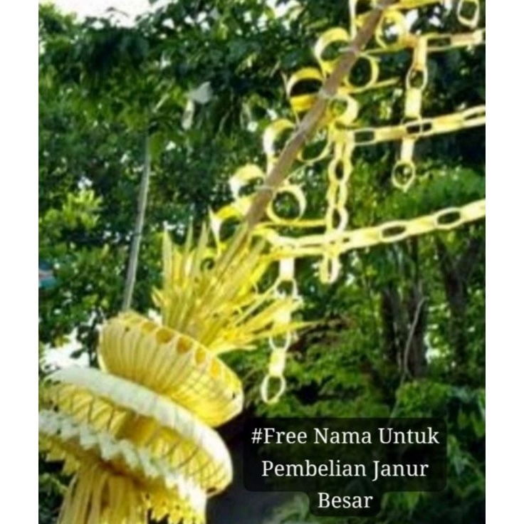 Jual Dijamin Ori JANUR NIKAHAN SUPER Beli 2 Gratis 1 janur kecil PENJOR ...
