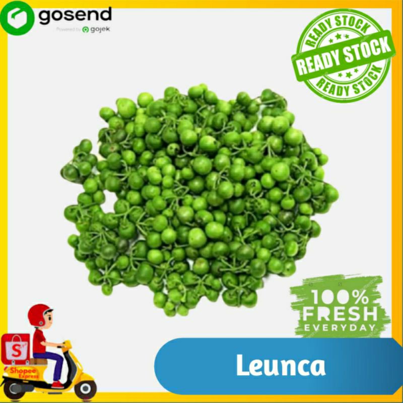 Jual Buah Lumay / Lumai leunca / lenca | Shopee Indonesia
