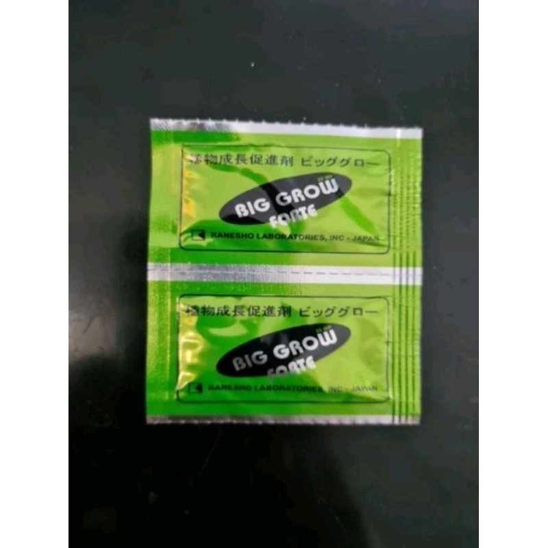 Jual Pupuk ZPT Big Grow Forte 20WP sachet 1gr Obat Biggrow Pembesar ...