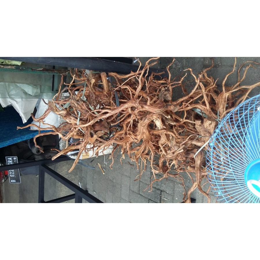 Jual KAYU AKAR RASAMALA UNTUK AQUASCAPE | Shopee Indonesia