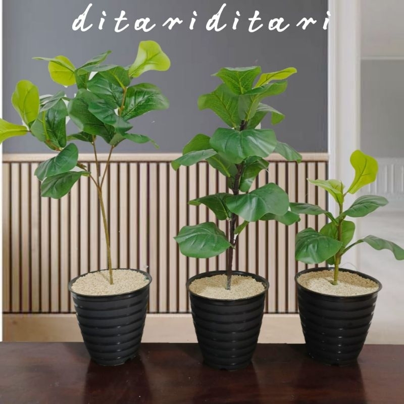 Jual Pohon ketapang artificial tanaman hias ketapang bunga artificial ...