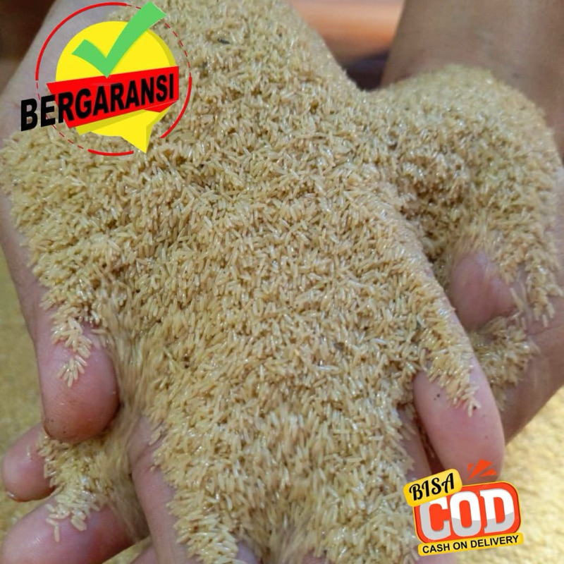 Jual Tj alam sliring terek 500gr | Shopee Indonesia