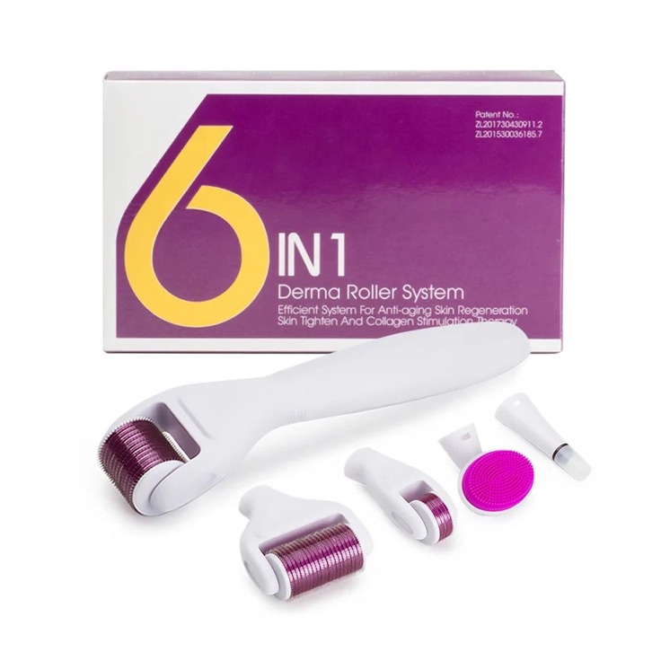 Jual ORIGINAL DRS 6 IN 1 Derma Roller Kit Titanium Microneedle | Shopee ...