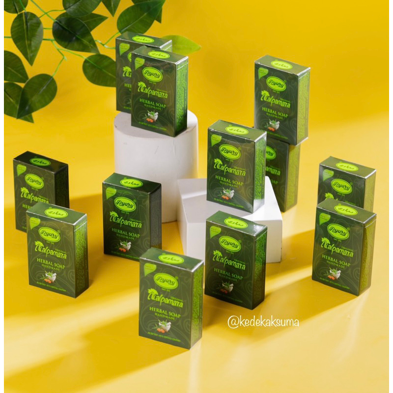 Jual READY Paket Promo 3 pcs Nalpamara FREE 1 pcs Turmeric SUDAH BER ...