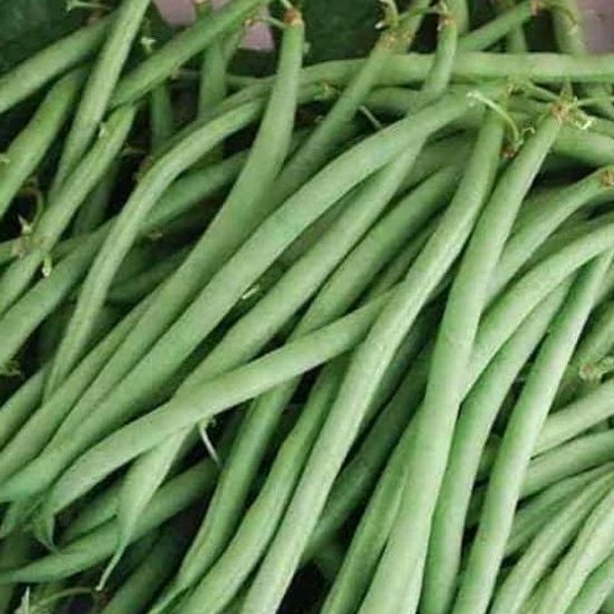 Jual Sayur buncis segar | Shopee Indonesia