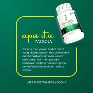 Jual Obat Herbal Yacona Mampu menurunkan Kadar Gula Darah dan ...