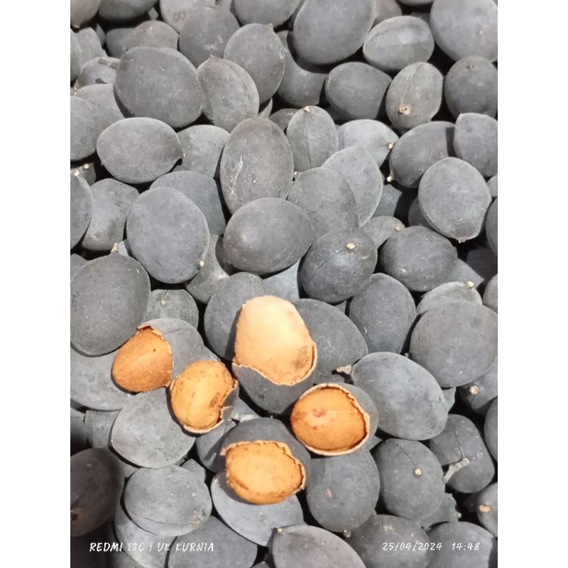 Jual buah keranji asam paket 10 kg | Shopee Indonesia