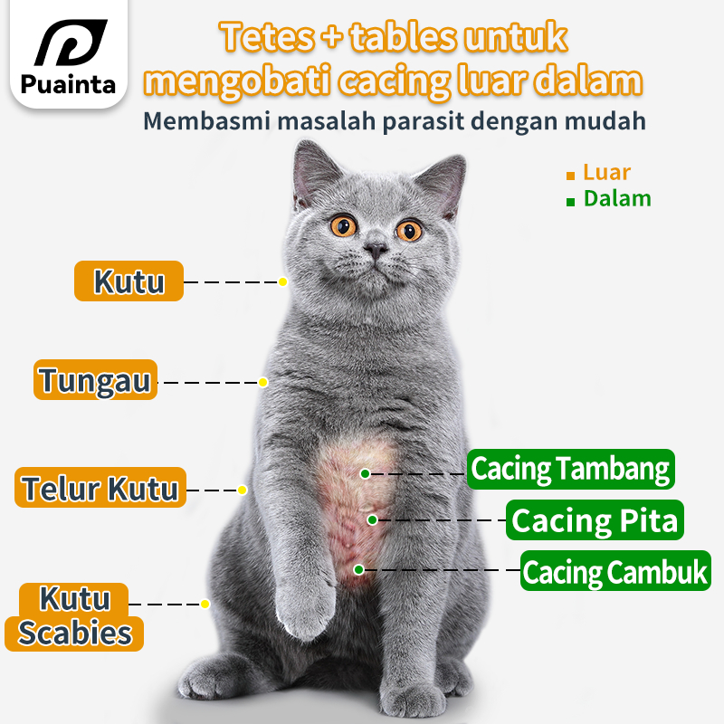Jual PUAINTA Obat Kutu Kucing Anjing Obat Anti Kutu Dan Kutu Obat ...