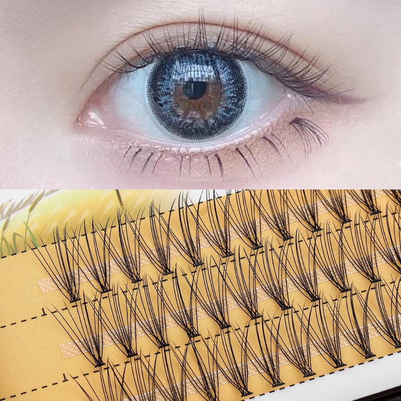 Jual Nesura russian volume eyelash 10D eyelash extention | Shopee Indonesia