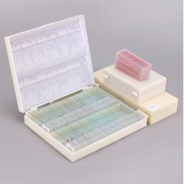 Jual 200 Preparat Slide Bagian Biologi Mikroskop Anak-anak Siswa ...