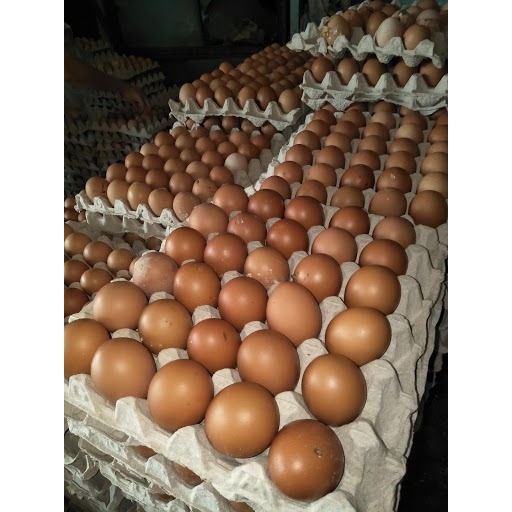 Jual Telur Telor Ayam Negeri PREMIUM Fresh - 30 butir (merah/cream ...