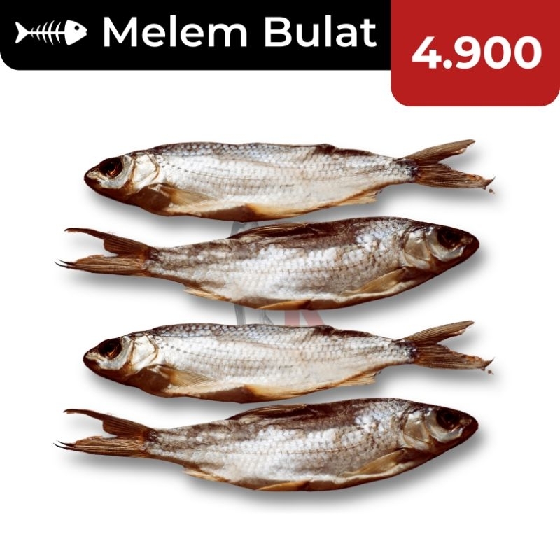 Jual ECERAN!!! 5k Ikan Asin Melem Bulat / HO Bulat SUPER / Ikan Asin ...