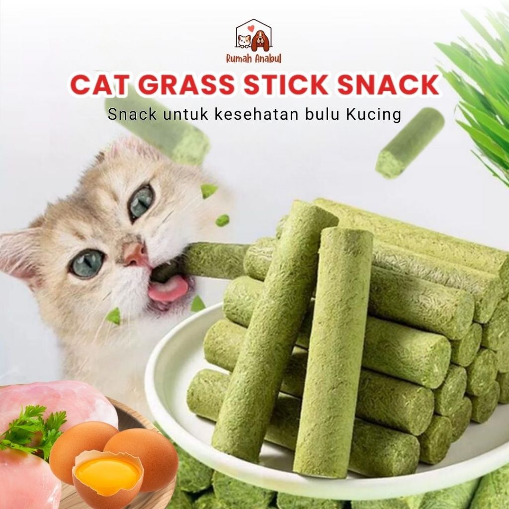 Jual Cat Grass Stick Premium Snack Kucing Anti Hairball - Rumput Kucing ...