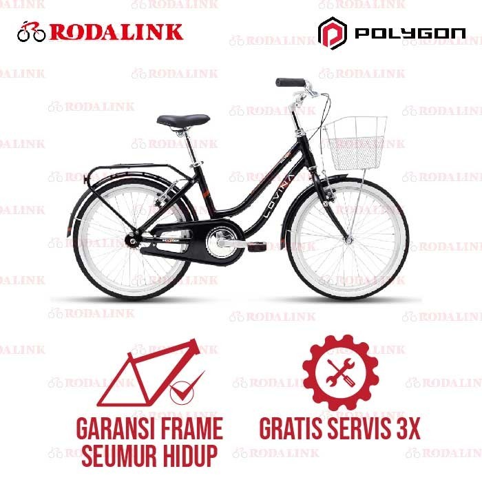Jual Polygon Sepeda Anak Wanita Lovina 20" | Sepeda Anak Keranjang CTB ...