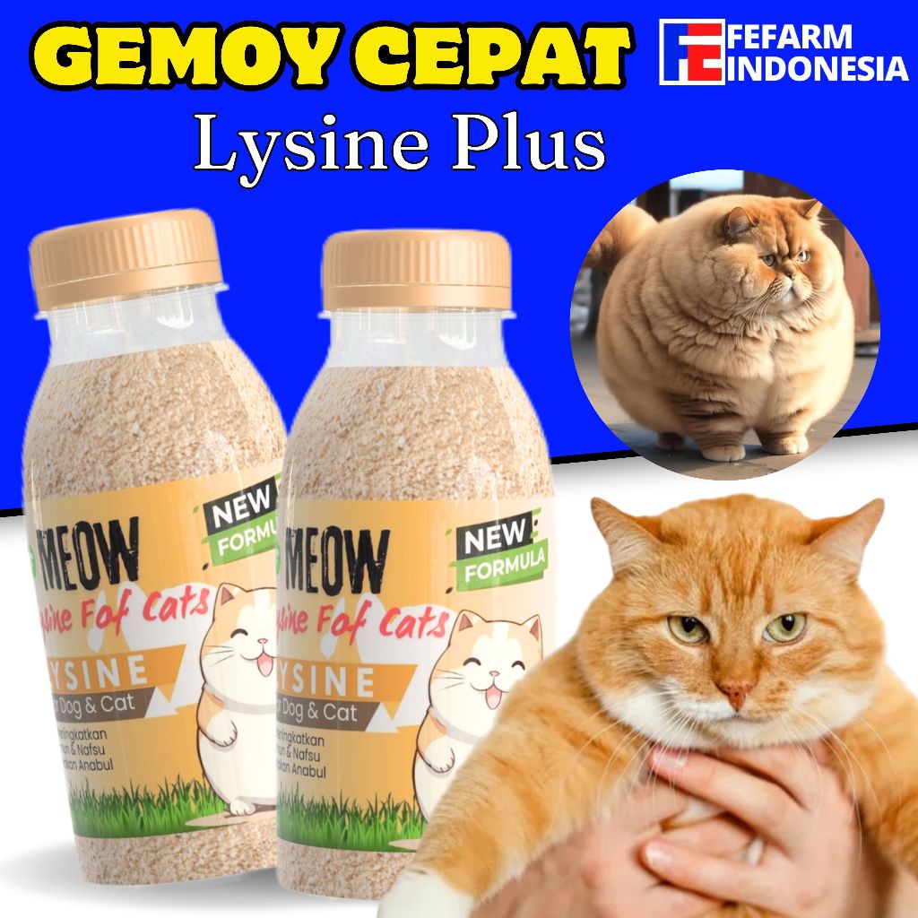 Jual MEOW LYSINE ANABUL KUCING ANABUL SOLUSI GEMOY DAN GEMUK FEFARM ...