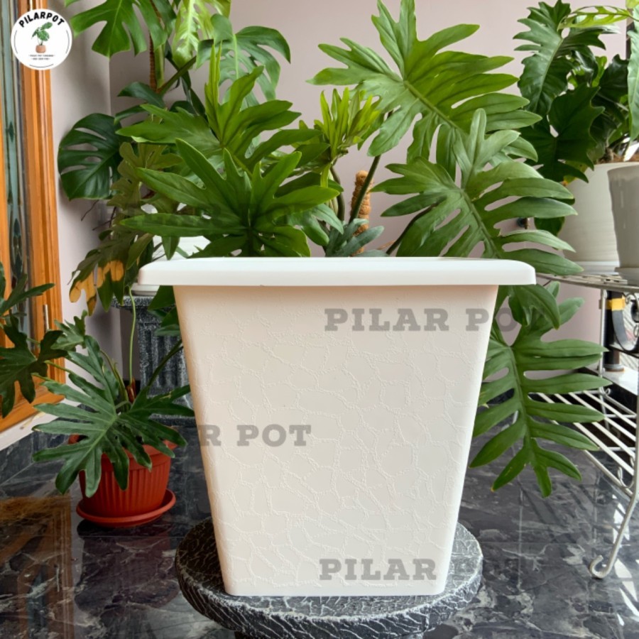 Jual POT BUNGA TANAMAN KOTAK TINGGI ROSA 45 PUTIH - BJ ROSA 45SG PUTIH ...