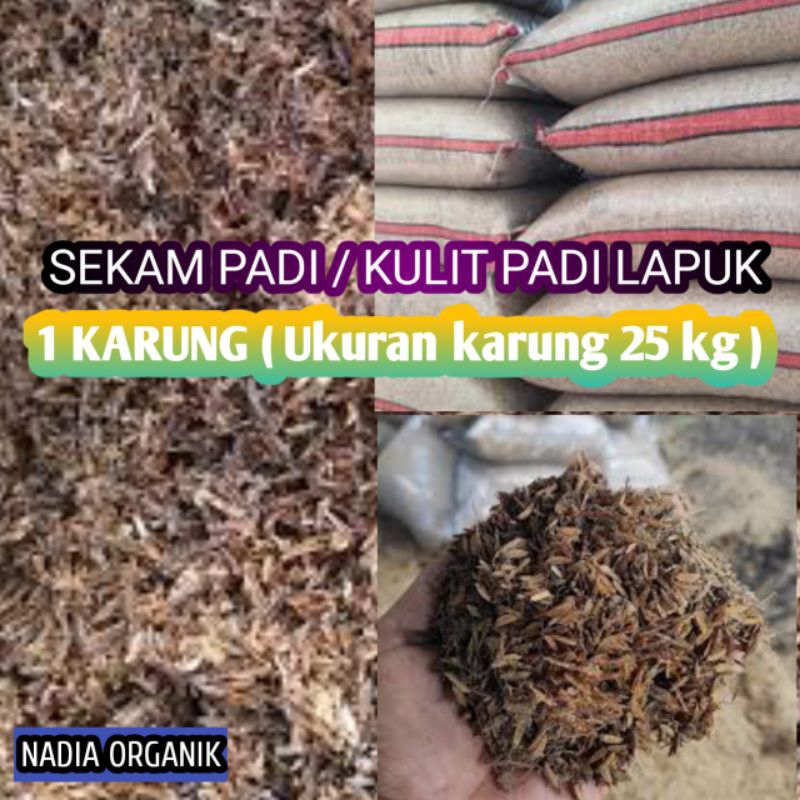 Jual Sekam padi LAPUK 1 KARUNG ( ukuran karung 25 kg ) | Shopee Indonesia