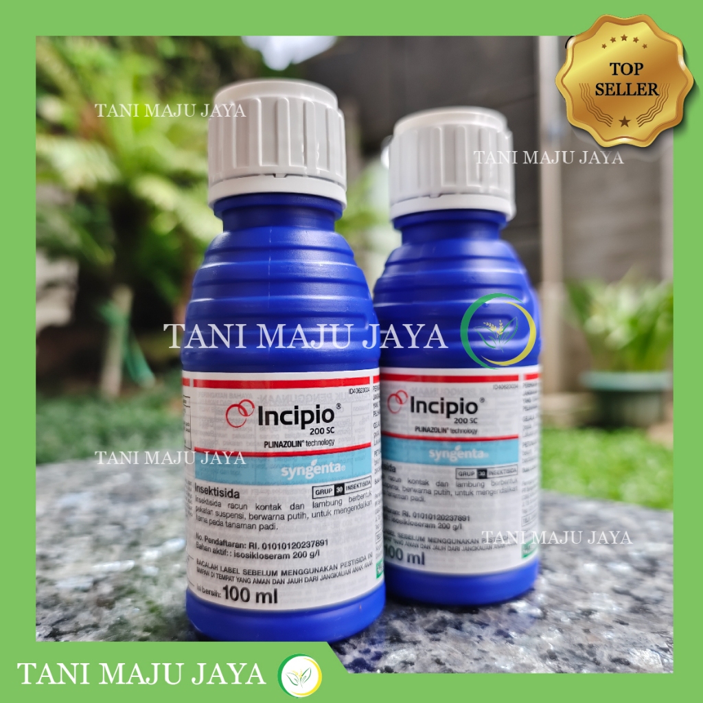 Jual Insektisida Incipio 200SC 100ml ORIGINAL ASLI 100% SYNGENTA Obat ...