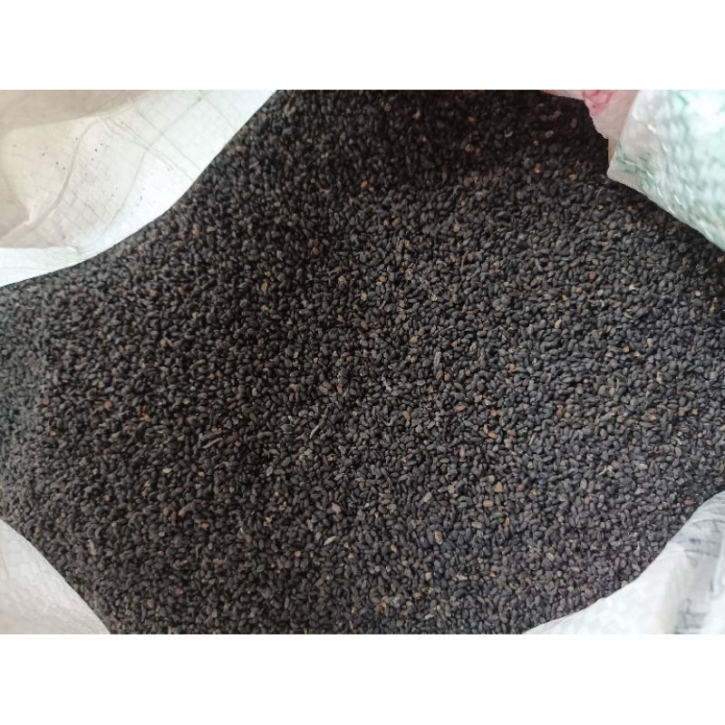 Jual biji selasih hitam per 50gr | Shopee Indonesia