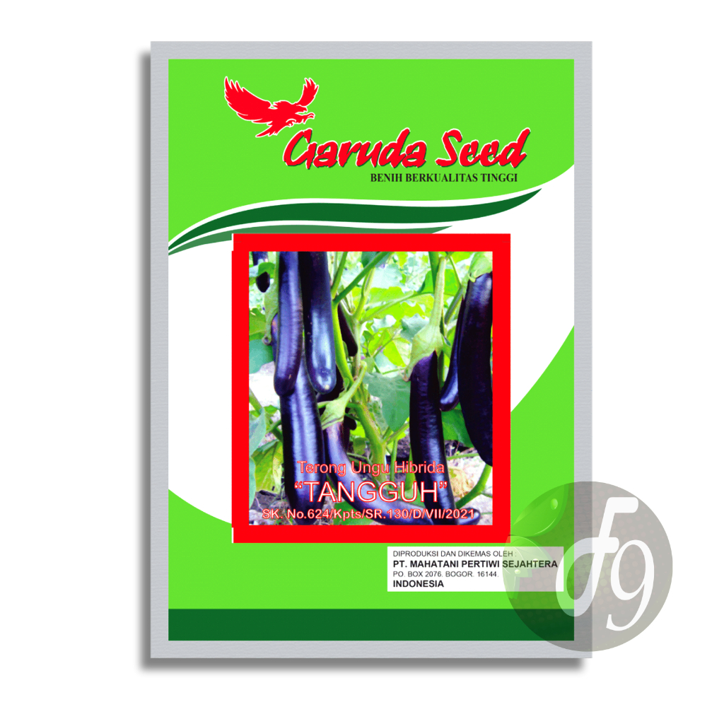 Jual Benih bibit terong ungu panjang F1 tangguh garuda seed 5 gram ...
