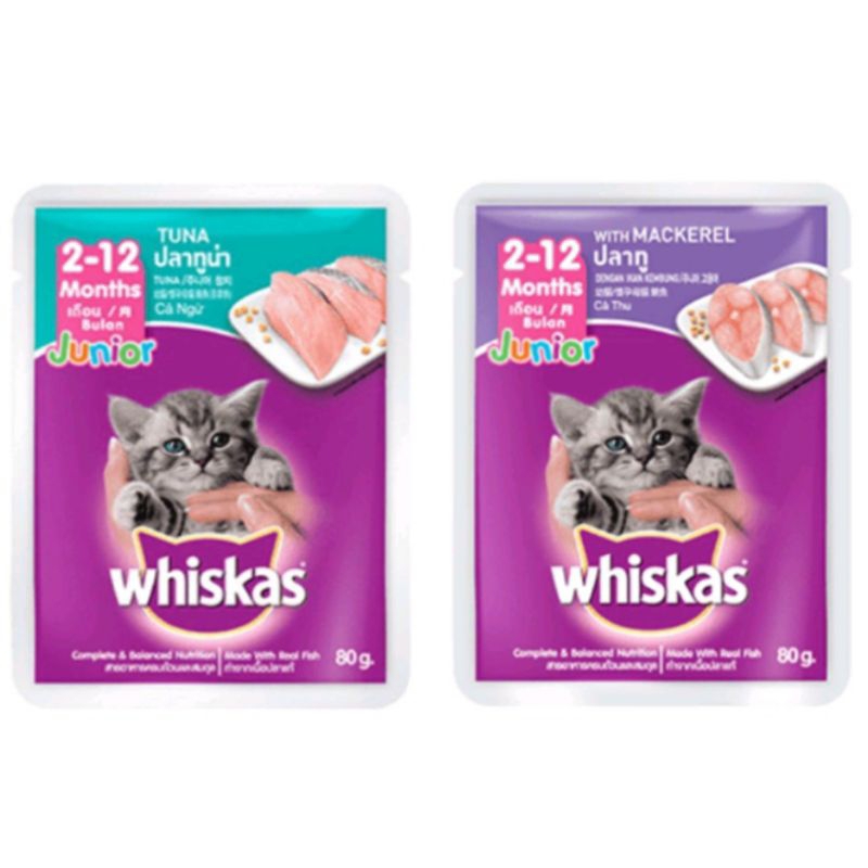 Jual Whiskas junior pouch 80gr Makanan basah kucing | Shopee Indonesia