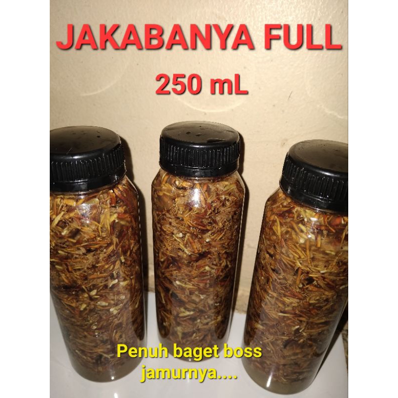 Jual Biang JAKABA Super | Shopee Indonesia