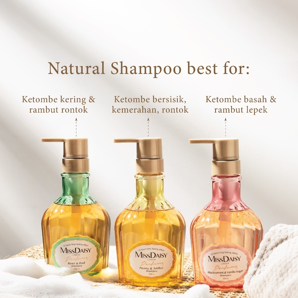 Jual Miss Daisy Perfume Shampoo 500ml | Shopee Indonesia