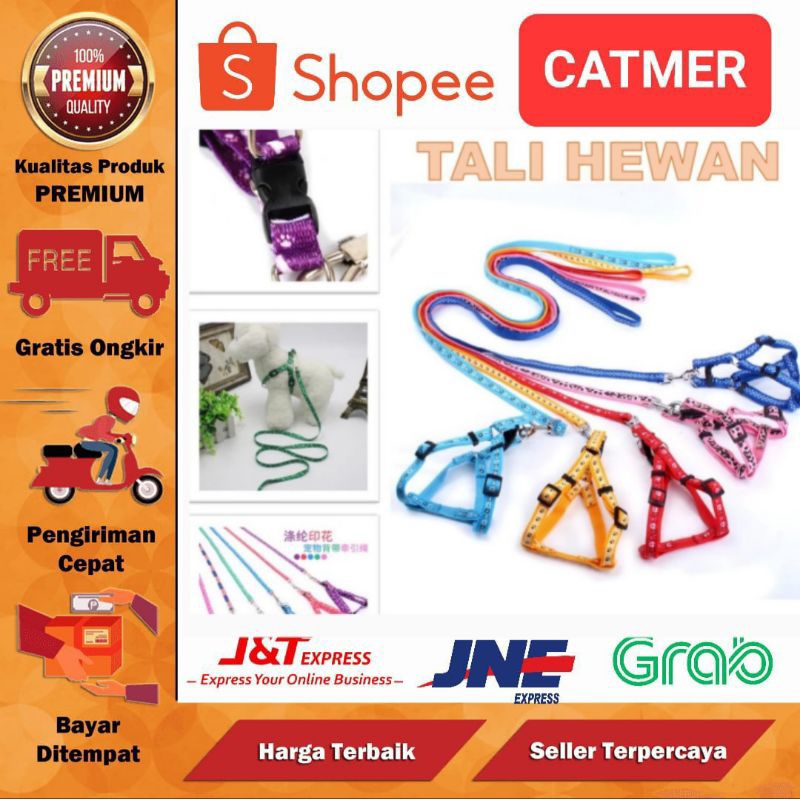 Jual Tali ikat kucing jalan jalan Tuntun Kucing Hewan anjing Bentuk Y ...