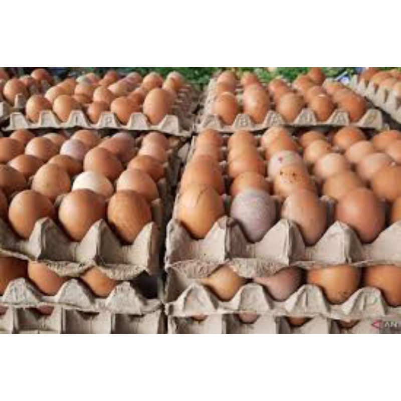 Jual Telur Ayam Ras 1 Papan isi 30 butir ukuran sedang (khusus gosend ...