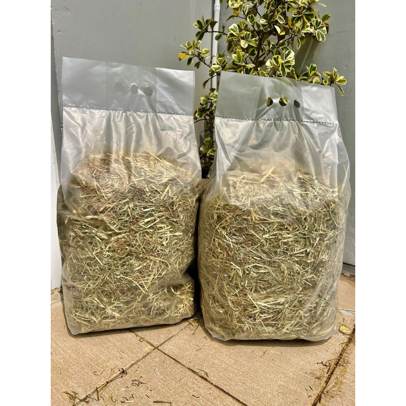 Jual Eco Bag Ryegrass Hay 1 Kg | Shopee Indonesia