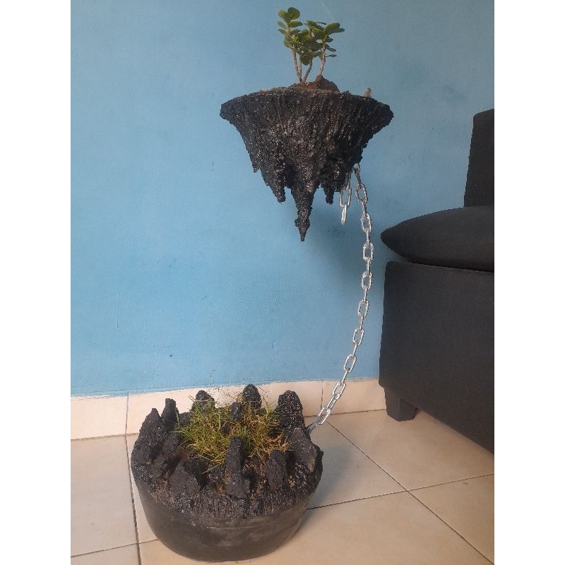 Jual Pot Bonsai Avatar ( tinggi _+ 50 cm ) | Shopee Indonesia