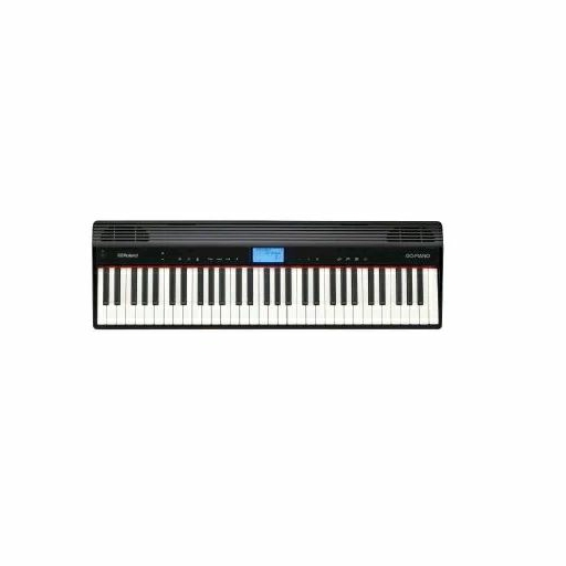 Jual Roland Go Paino 61 P - Digital Piano | Shopee Indonesia