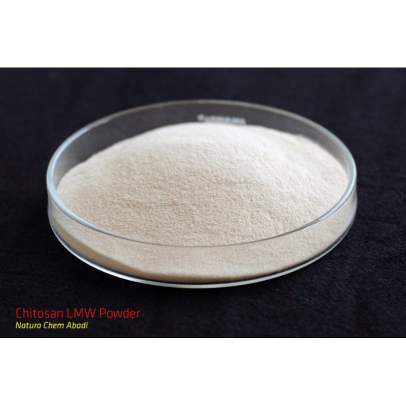 Jual Chitosan Powder / Kitosan Bubuk (LMW/Low Molecular Weight) Food Grade (1 Gram) | Shopee ...