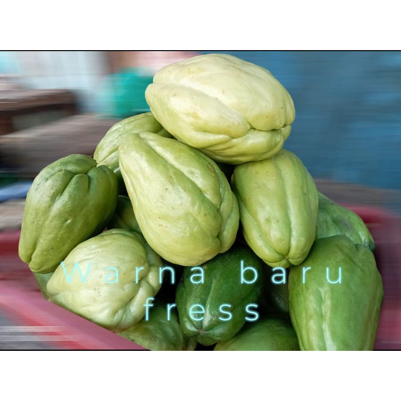 Jual Labu siam 1kg | Shopee Indonesia