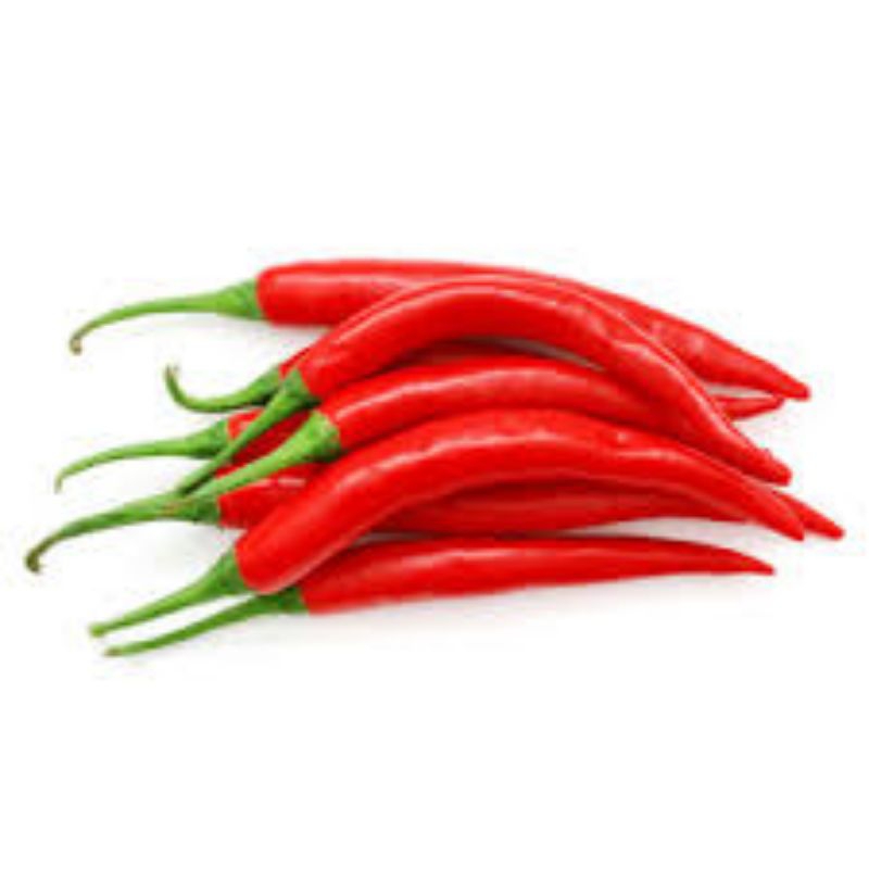 Jual CABE TEROPONG MERAH, CABE BESAR TW MERAH FRESH | Shopee Indonesia