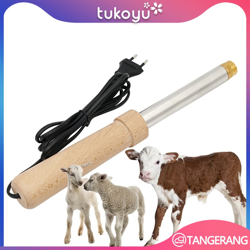 Jual Disbudding Alat Penghilang Tanduk Ternak Sapi Domba/Alat Pemotong ...
