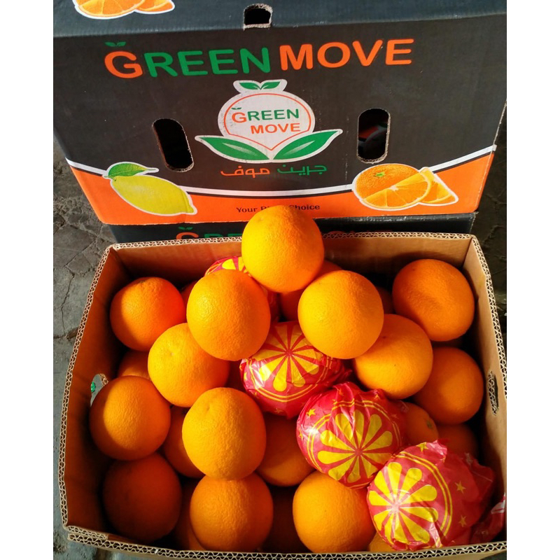 Jual Jeruk Sunkist Valencia 1kg | Shopee Indonesia