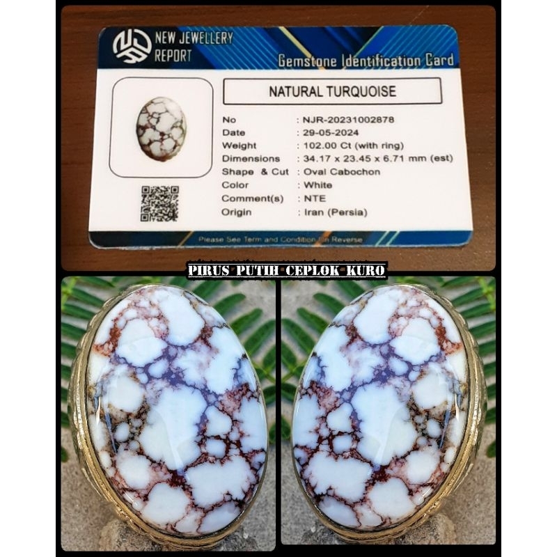 Jual PIRUS PUTIH JUMBO PERSIA ( FULL BODY PORSLEN KUNO ) | Shopee Indonesia