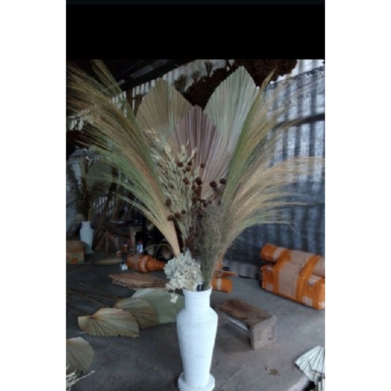 Jual paket jumbo vas/ pot guci mendong astetik daun palem | Shopee ...