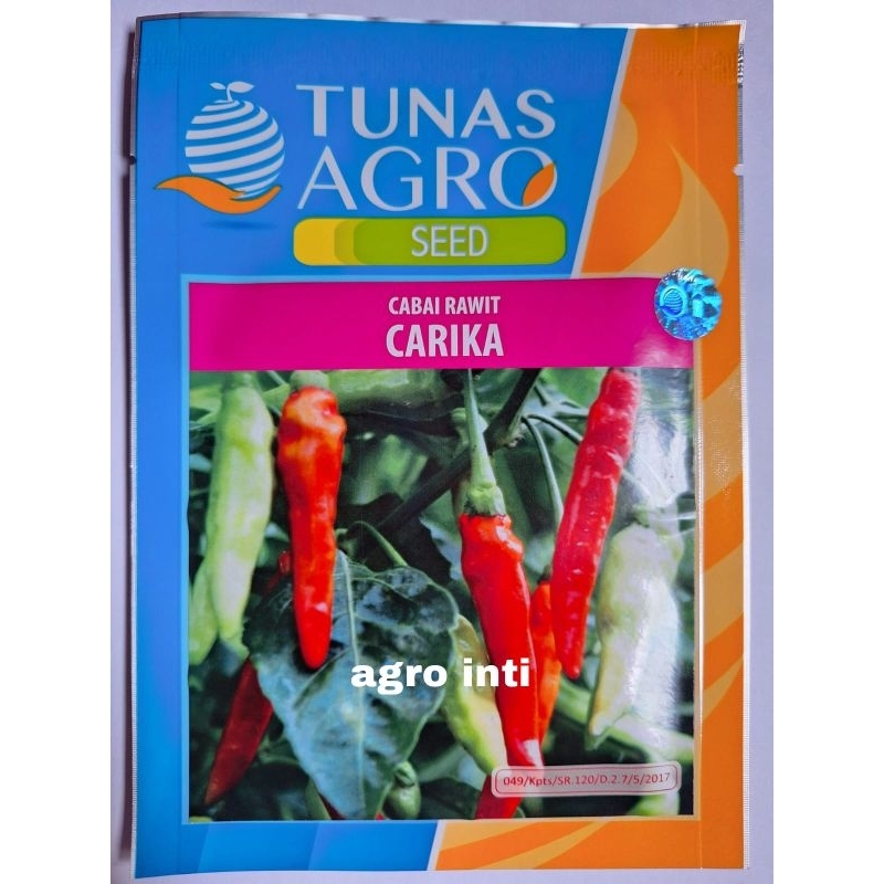 Jual Benih cabe rawit CARIKA isi 10gram merunduk kebawah Tunas Agro ...