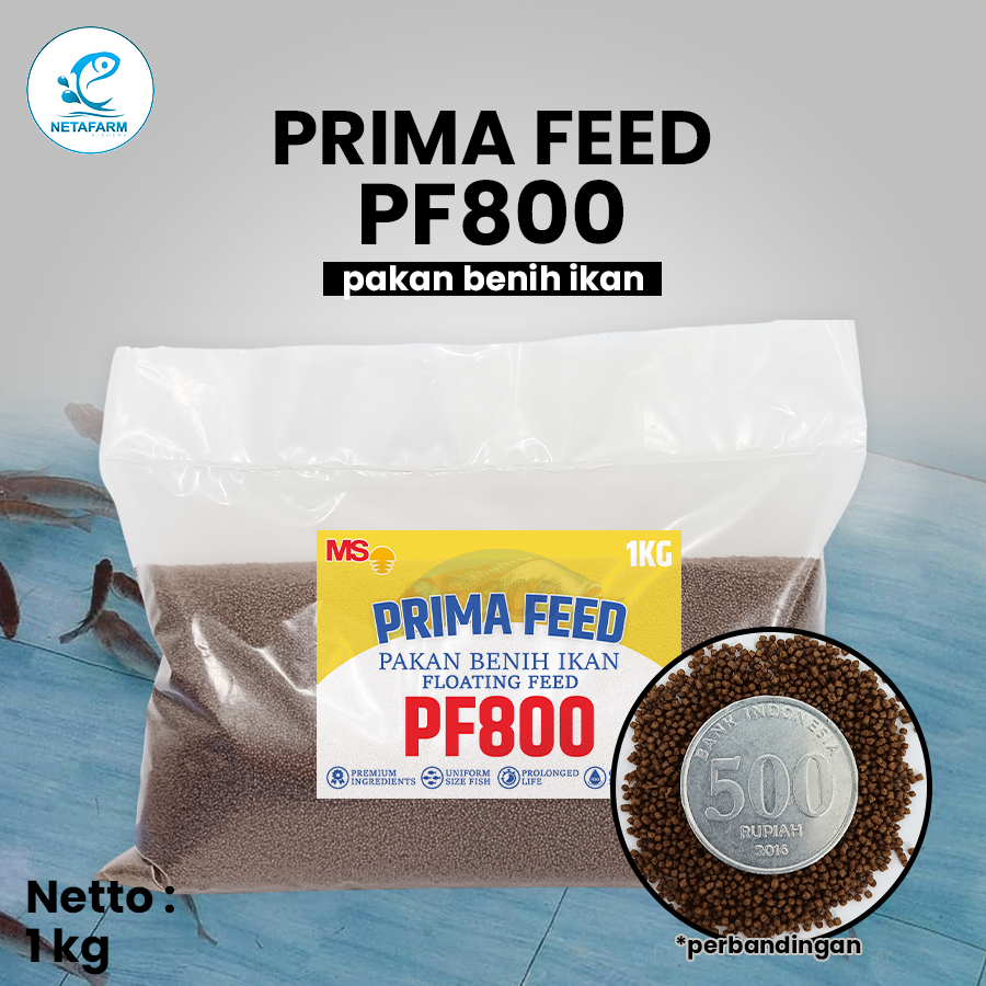 Jual Pakan Pelet Benih Ikan PRIMA FEED PF800 - Repack 1kg | Shopee ...