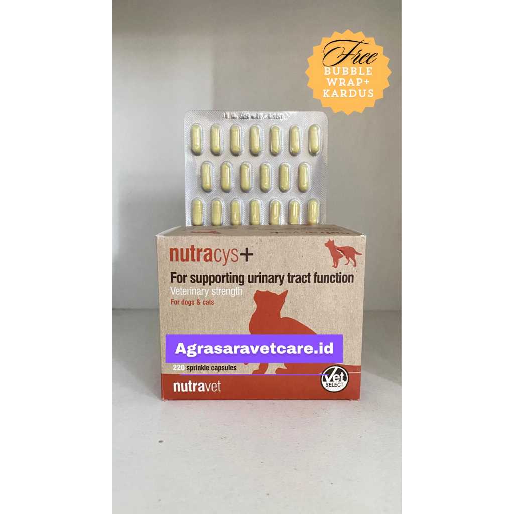 Jual NUTRACYS + PLUS (Per BLISTER/ 20 Tablet)- Obat Kucing Susah ...