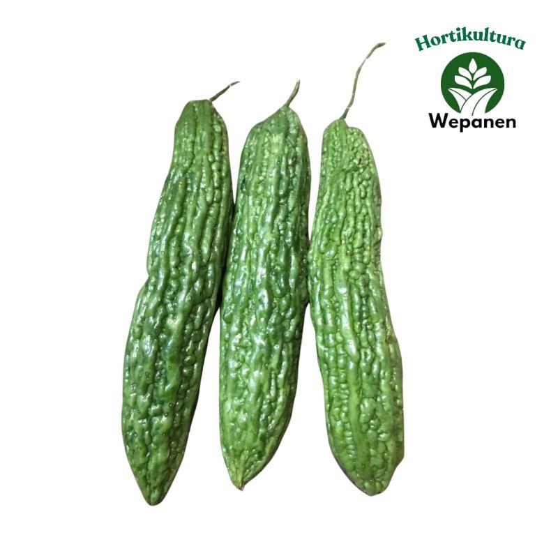 Jual Kirim Instant Sayur Pare / Paria 500gr | Shopee Indonesia