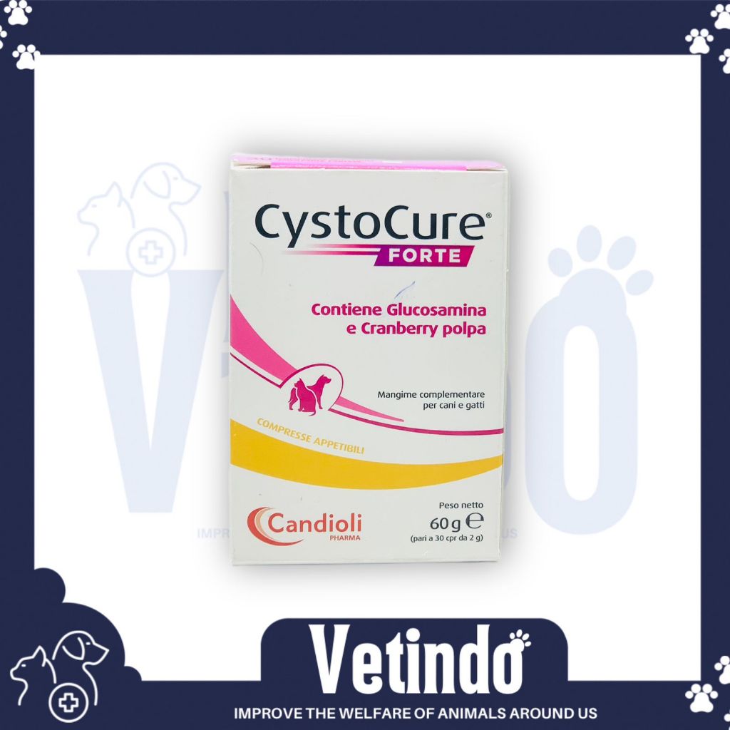 Jual Candioli Cystocure Forte 30 tablets obat susah kencing kucing ...