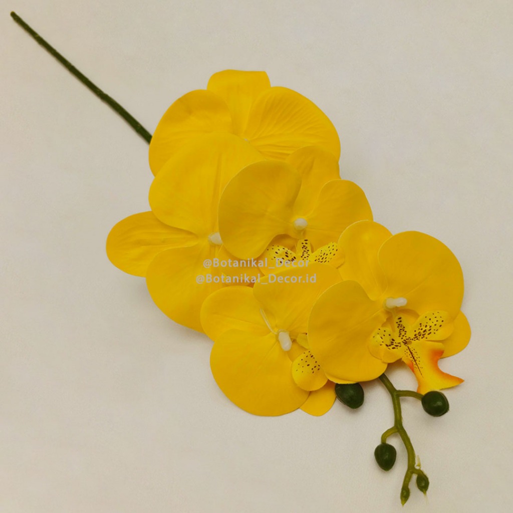 Jual Anggrek Latex K5 Real Touch Large Orchids Premium Bunga Anggrek ...