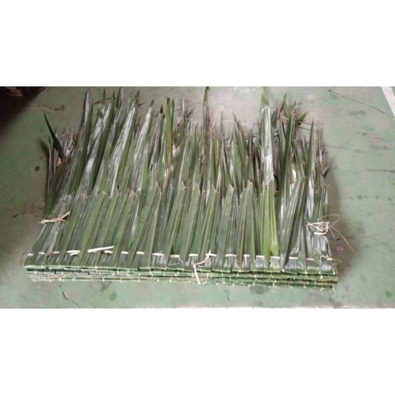 Jual ATAP DAUN RUMBIA ATAU DAUN KIRAY SATUAN MINIMAL ORDER 5 LEMBAR ...
