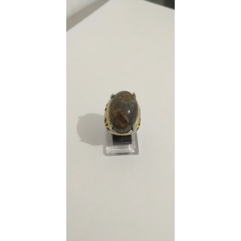 Jual Batu Fosil Kayu | Shopee Indonesia
