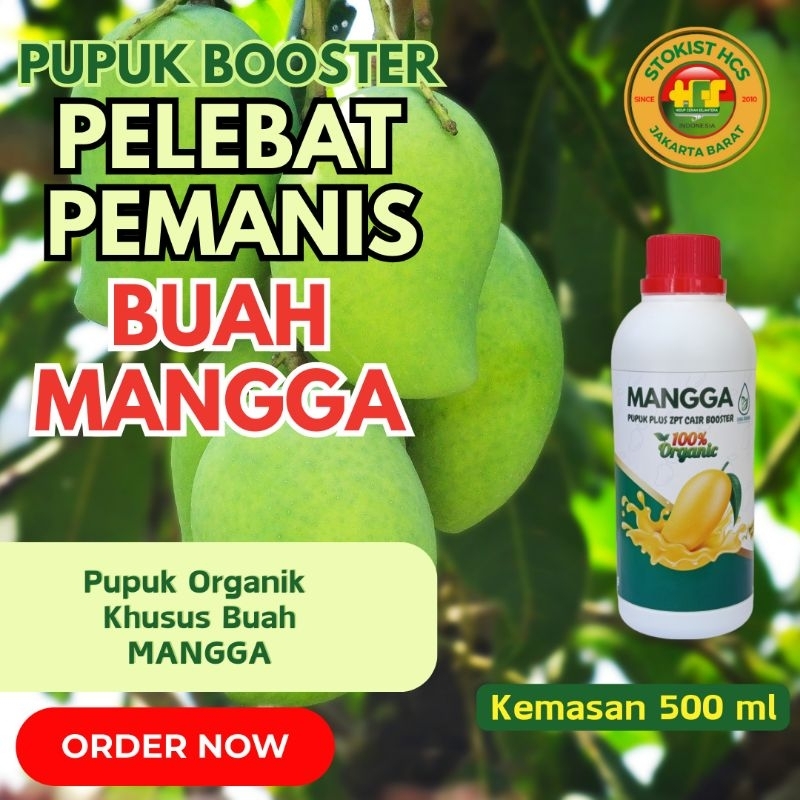Jual Pupuk Organik cair Booster Buah Mangga Bikin Mangga Cepat Berbuah Lebat no 1 di Indonesia ...