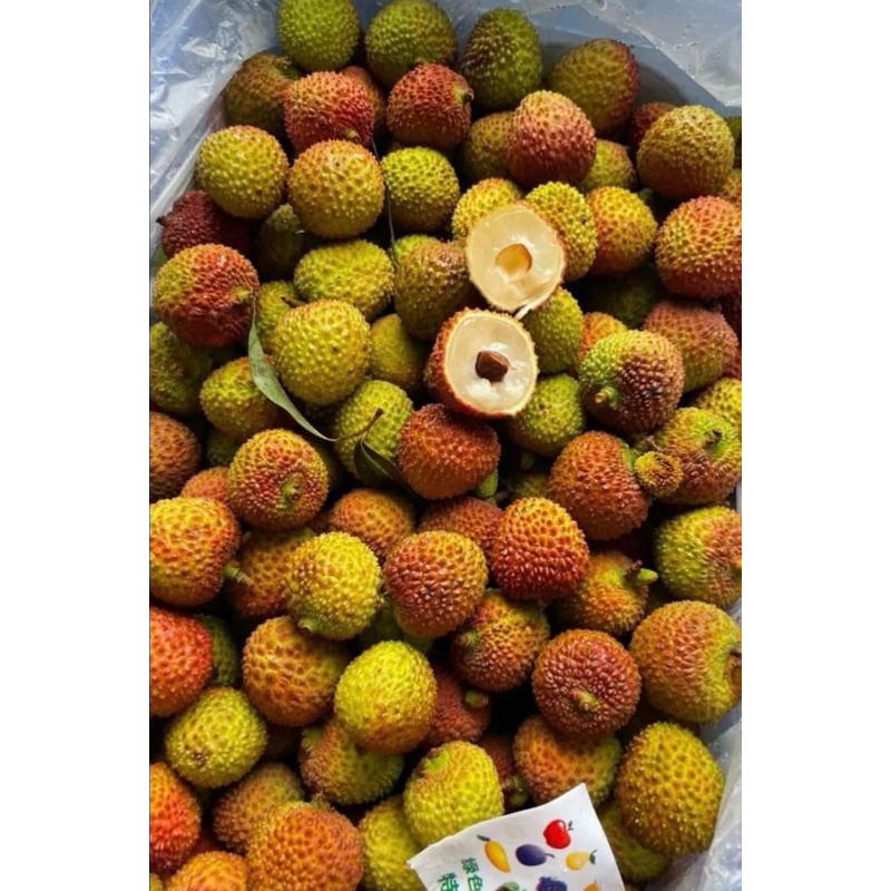 Jual Buah Leci Segar Berat 1 Kg | Shopee Indonesia