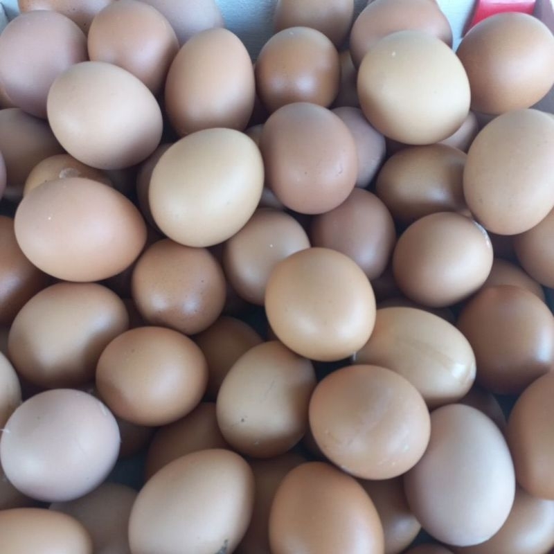 Jual Telur Ayam Negri/Telur Ayam Ras/Telur Ayam | Shopee Indonesia